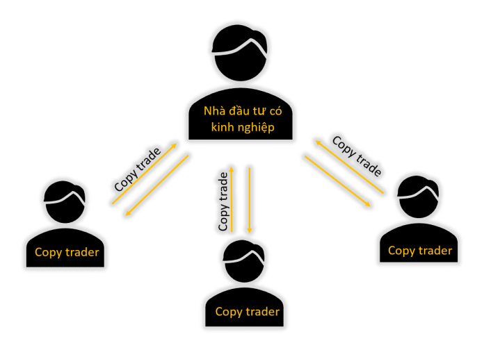Copy trade là gì? Đánh giá cơ hội và rủi ro khi sử dụng copy trade