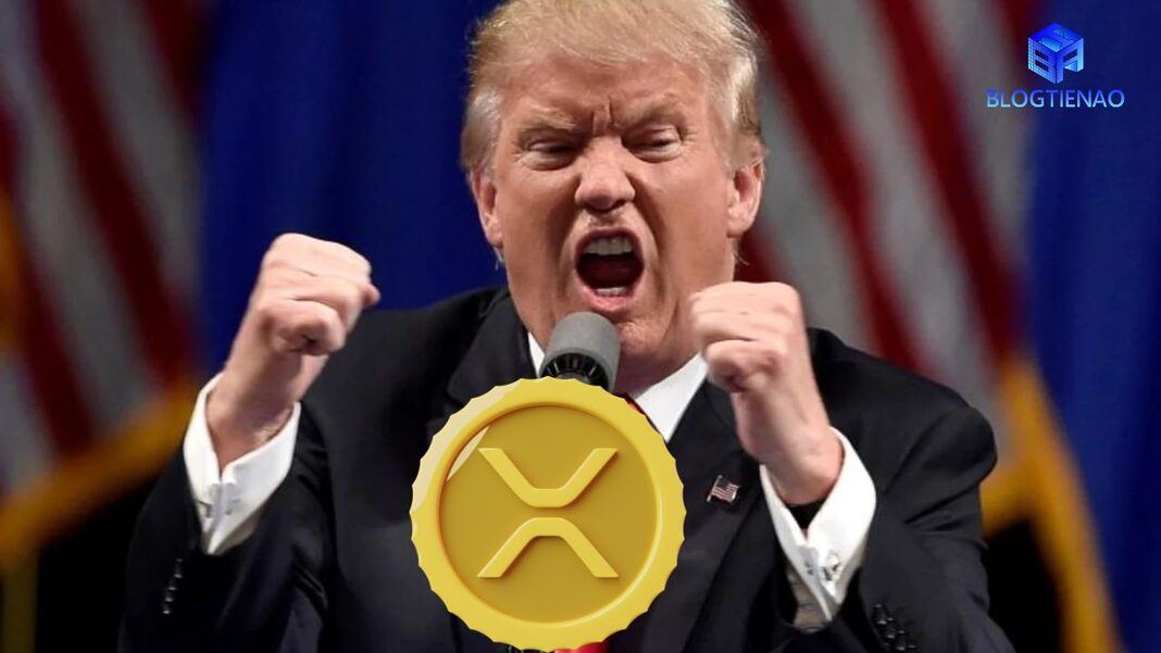 XRP góp mặt trong Dự Trữ Crypto của Trump – CEO Ripple lên tiếng
